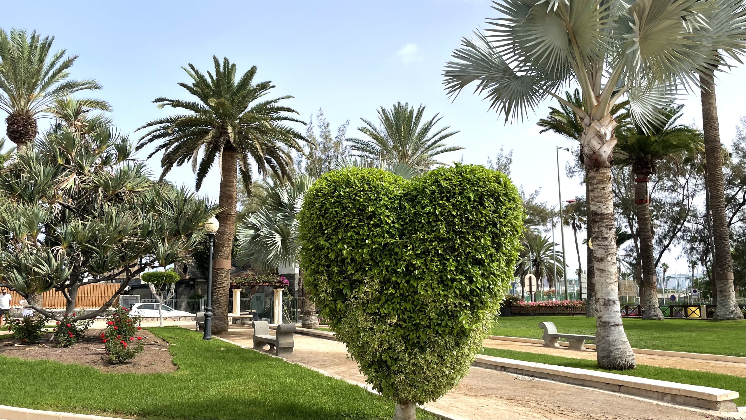 Gran Canarian romanttisimmat paikat - Espanja.Com